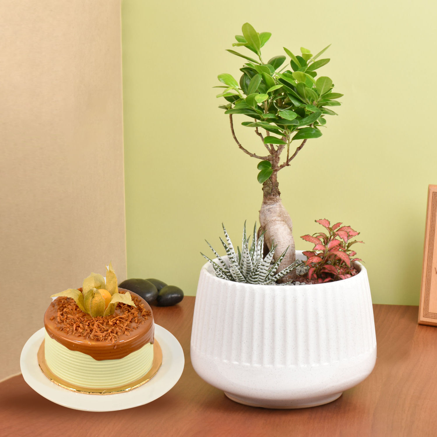 Bonsai Garden with Cake Delivery in Singapore - FNP SG