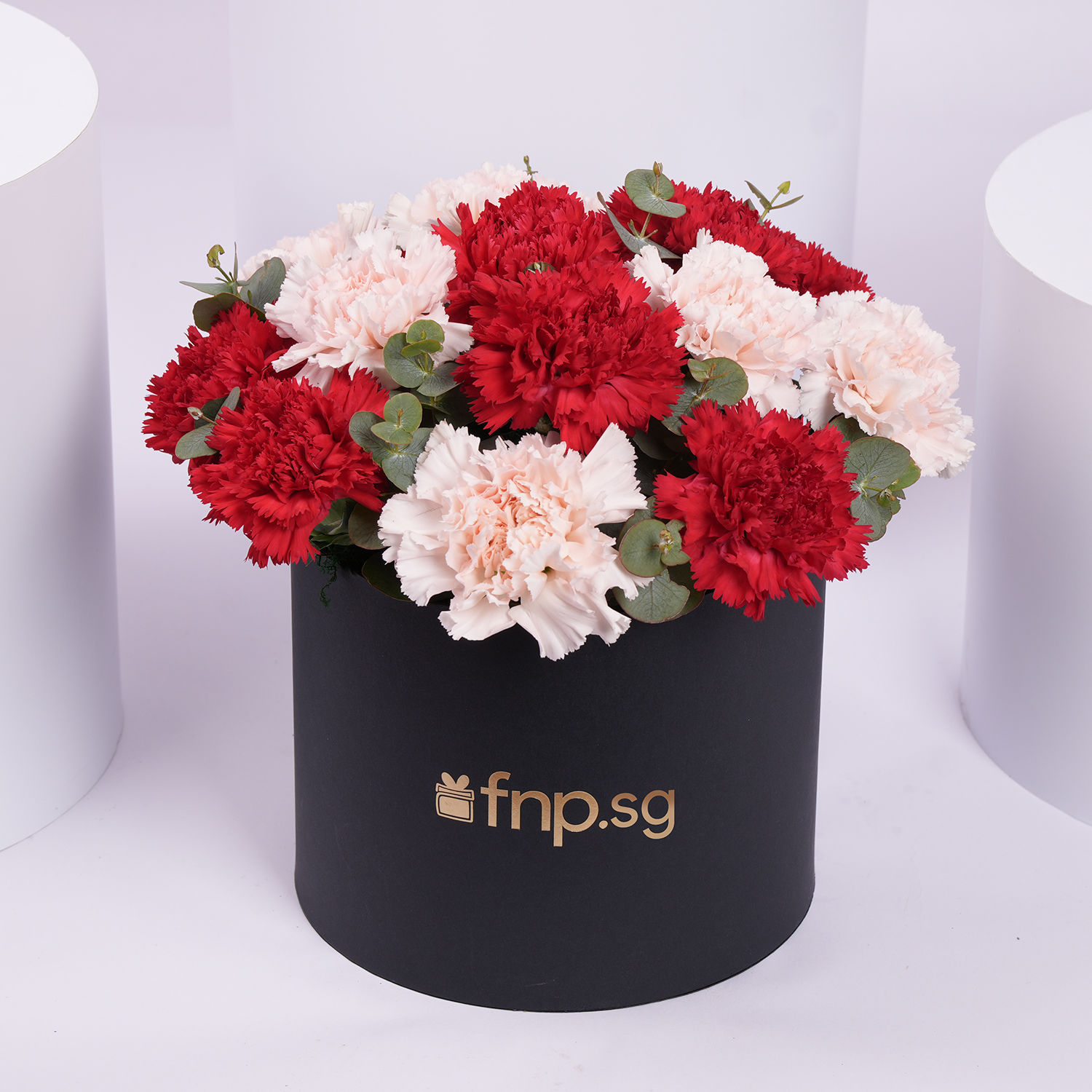 Carnations Flower Box Delivery in Singapore - FNP SG