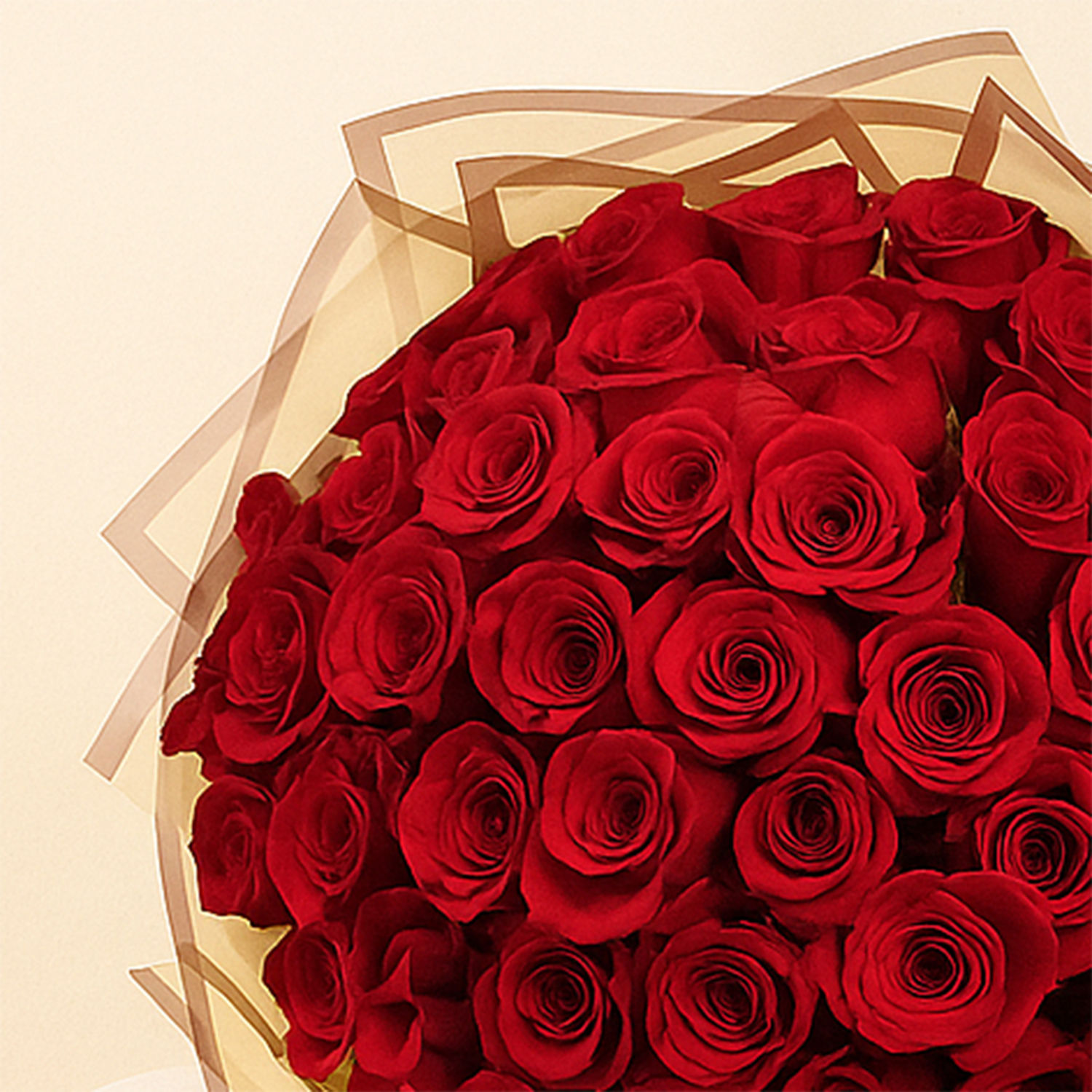 U & Me 50 Red Roses Bouquet Delivery in Singapore - FNP SG