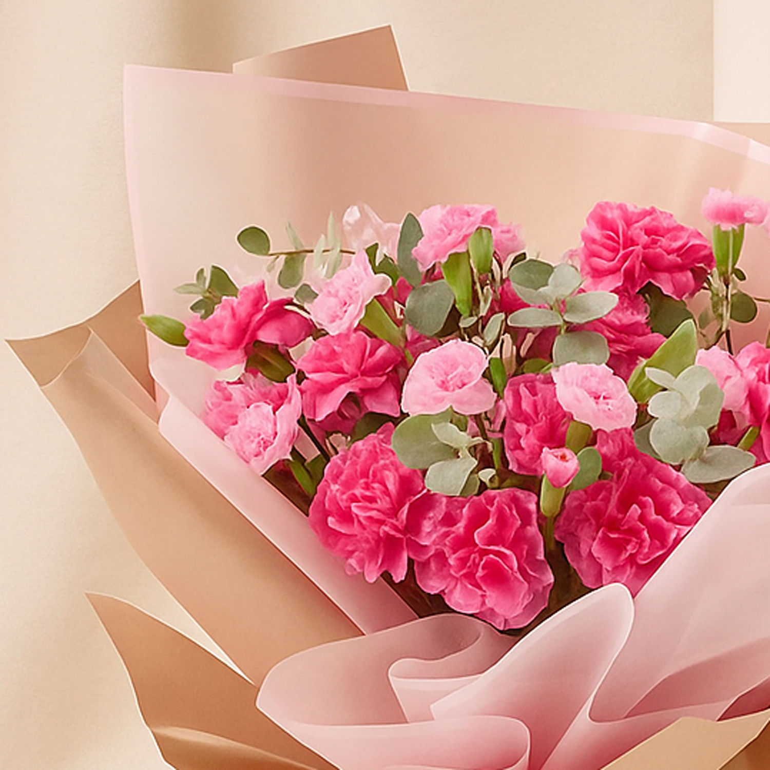 Birthday Wishes Carnations Hand Bouquet Delivery in Singapore - FNP SG