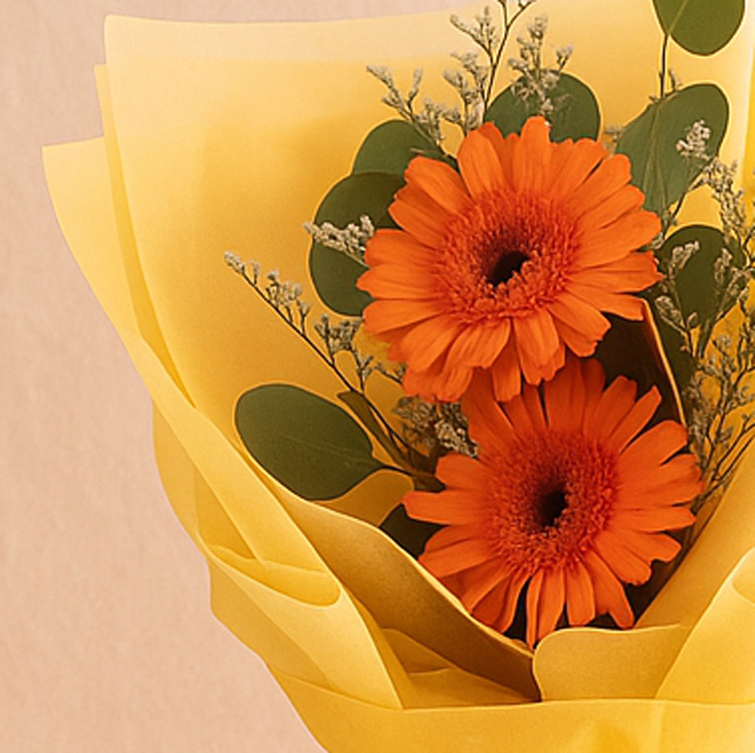 Cherry Red Gerbera Bouquet Delivery in Singapore - FNP SG