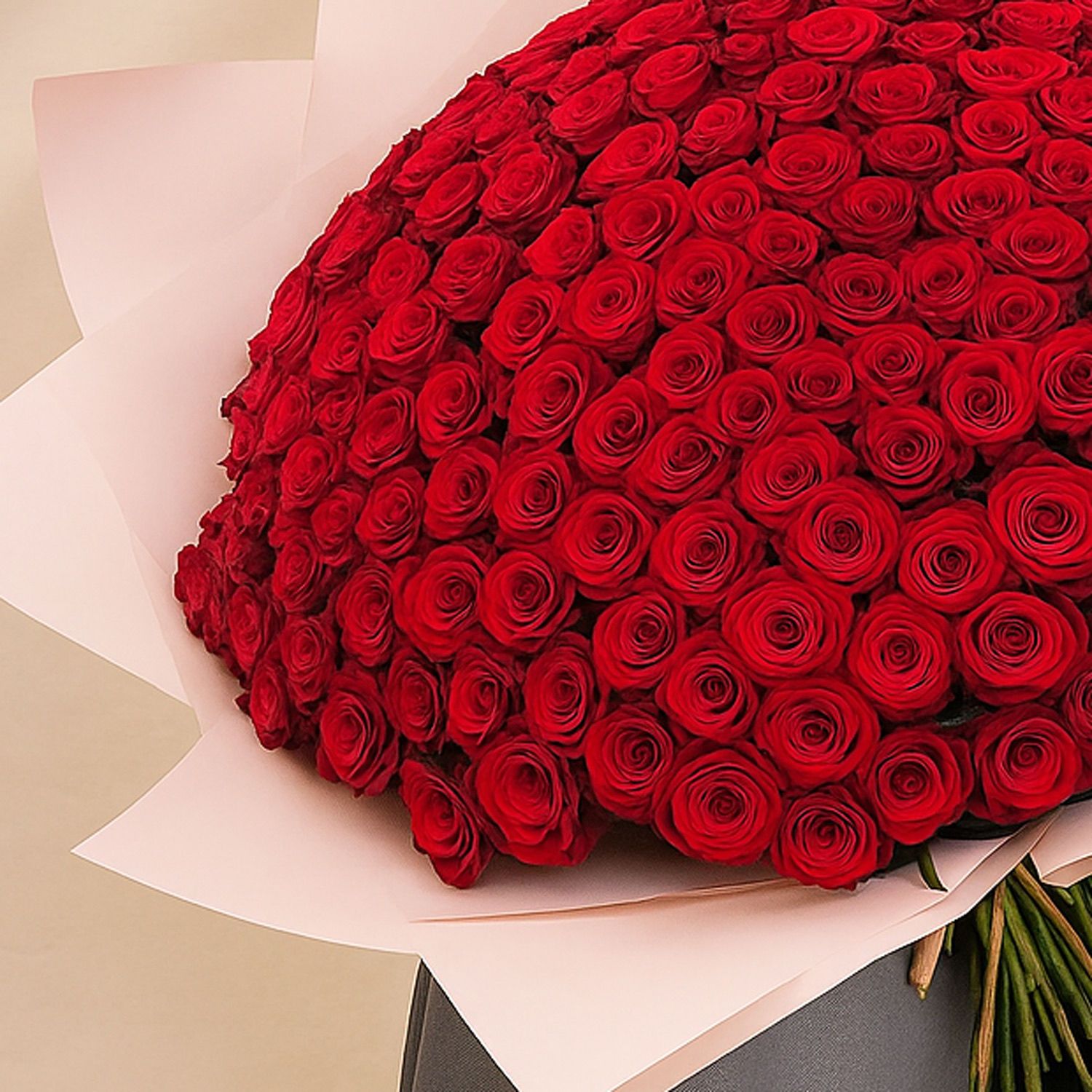 600 Red Roses Bouquet Delivery in Singapore - FNP SG