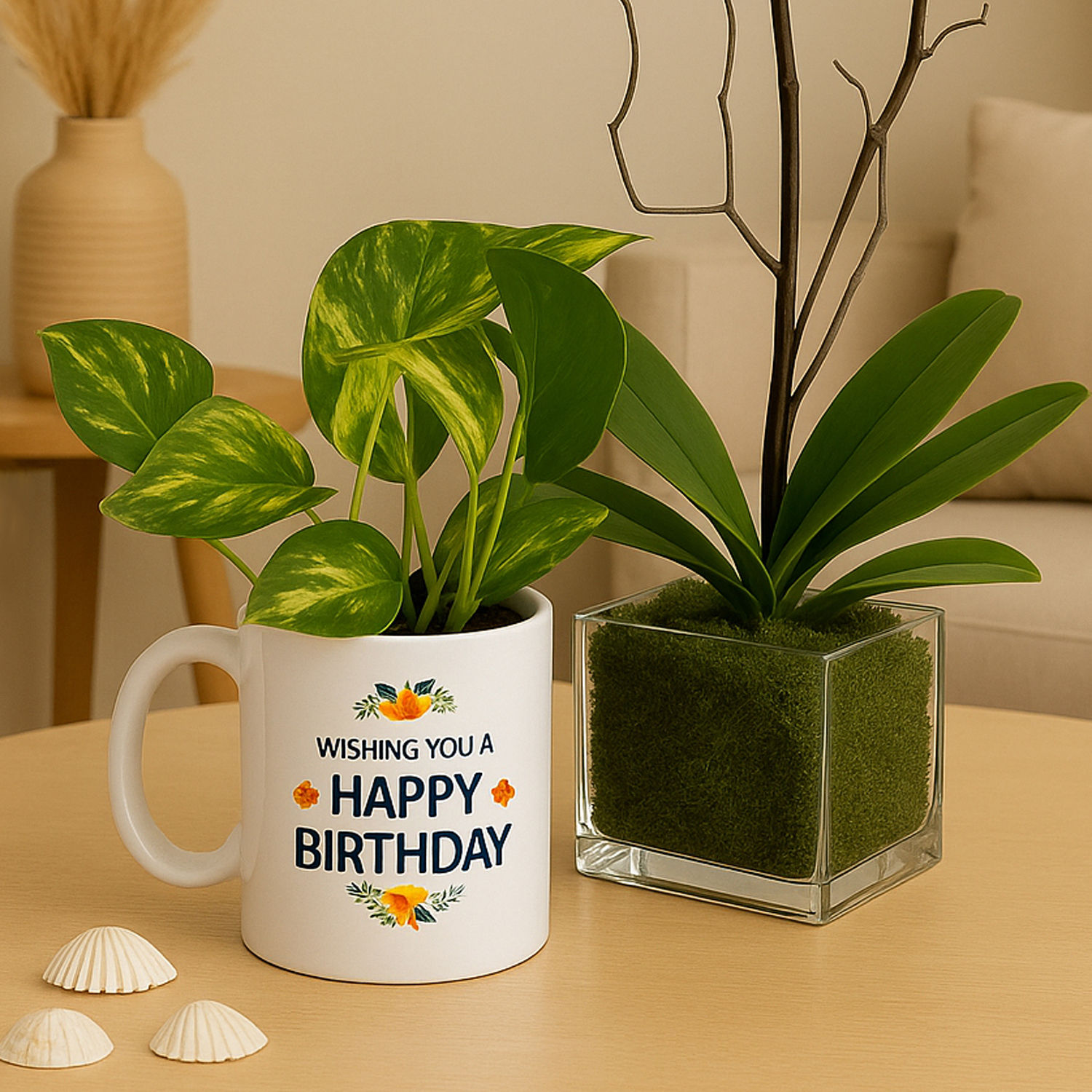Orchid and Money Plant Bundle Delivery in Singapore - FNP SG